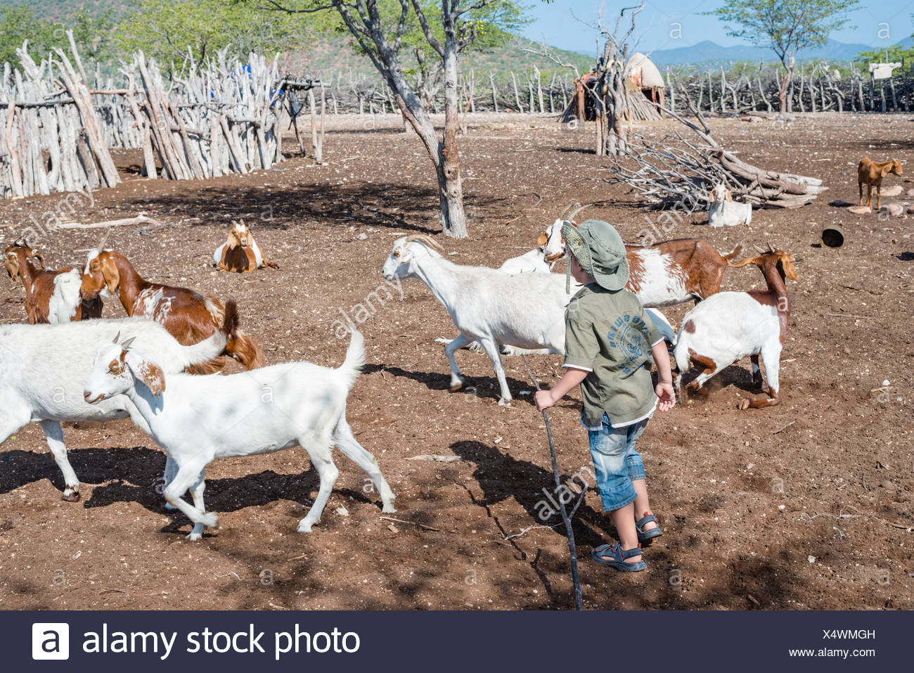 Himba Child With Goat High Resolution Stock Photography and Images - Alamy