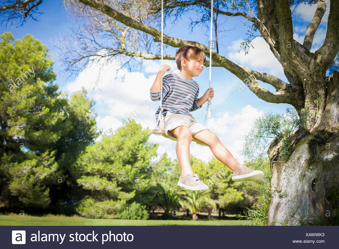 Swinging From A Tree Branch High Resolution Stock Photography and ...