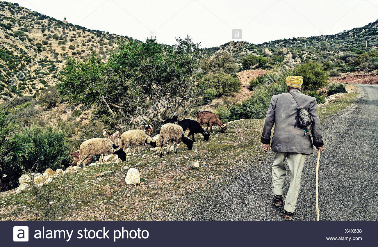 Shepherd In Atlas High Resolution Stock Photography and Images - Alamy