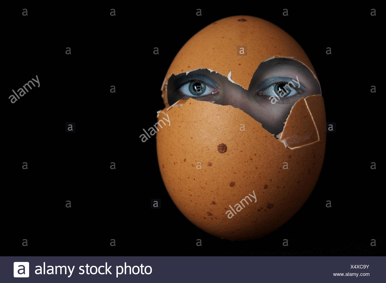 Egghead Stock Photos & Egghead Stock Images - Alamy