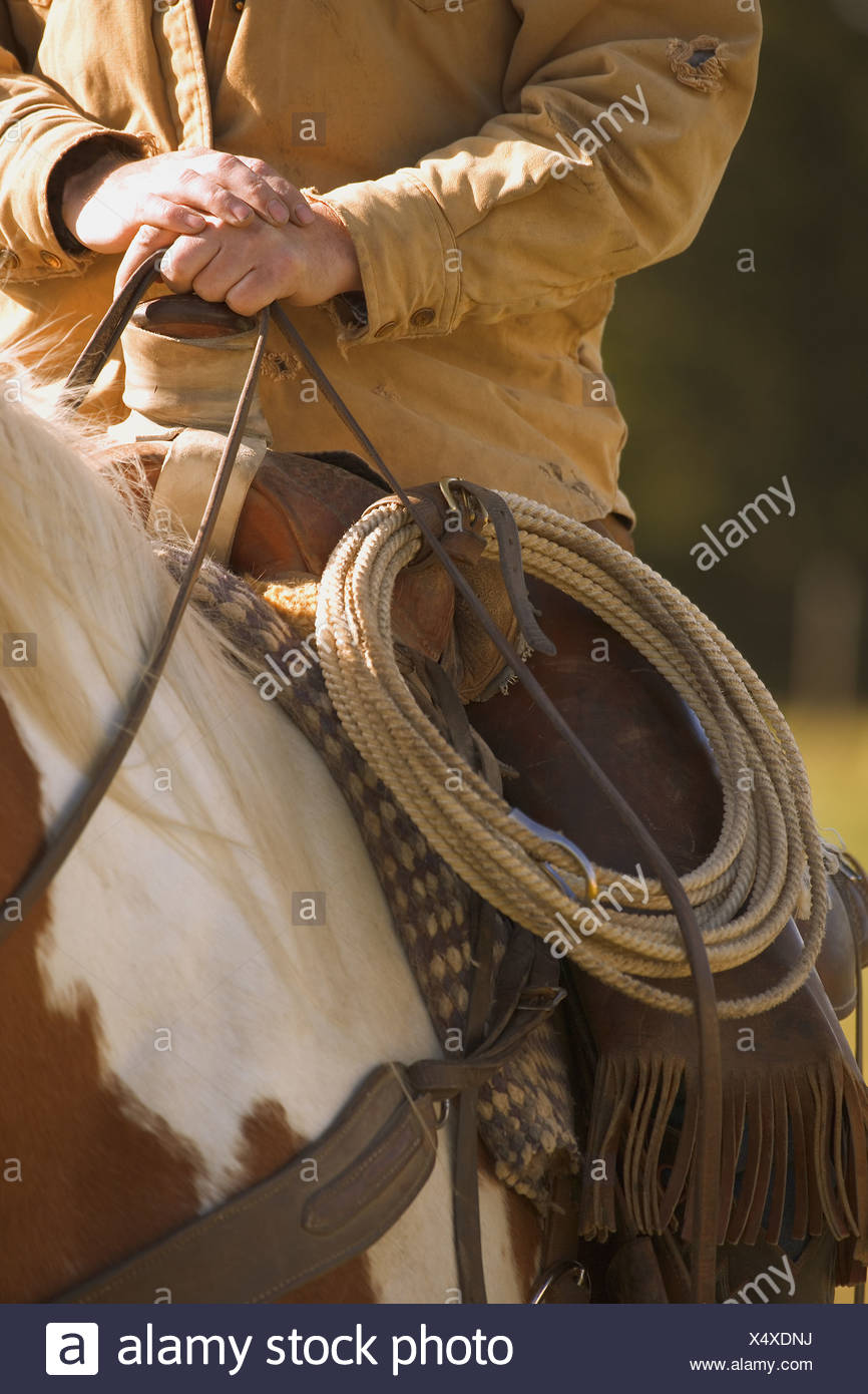 Lasso Saddle High Resolution Stock Photography and Images - Alamy