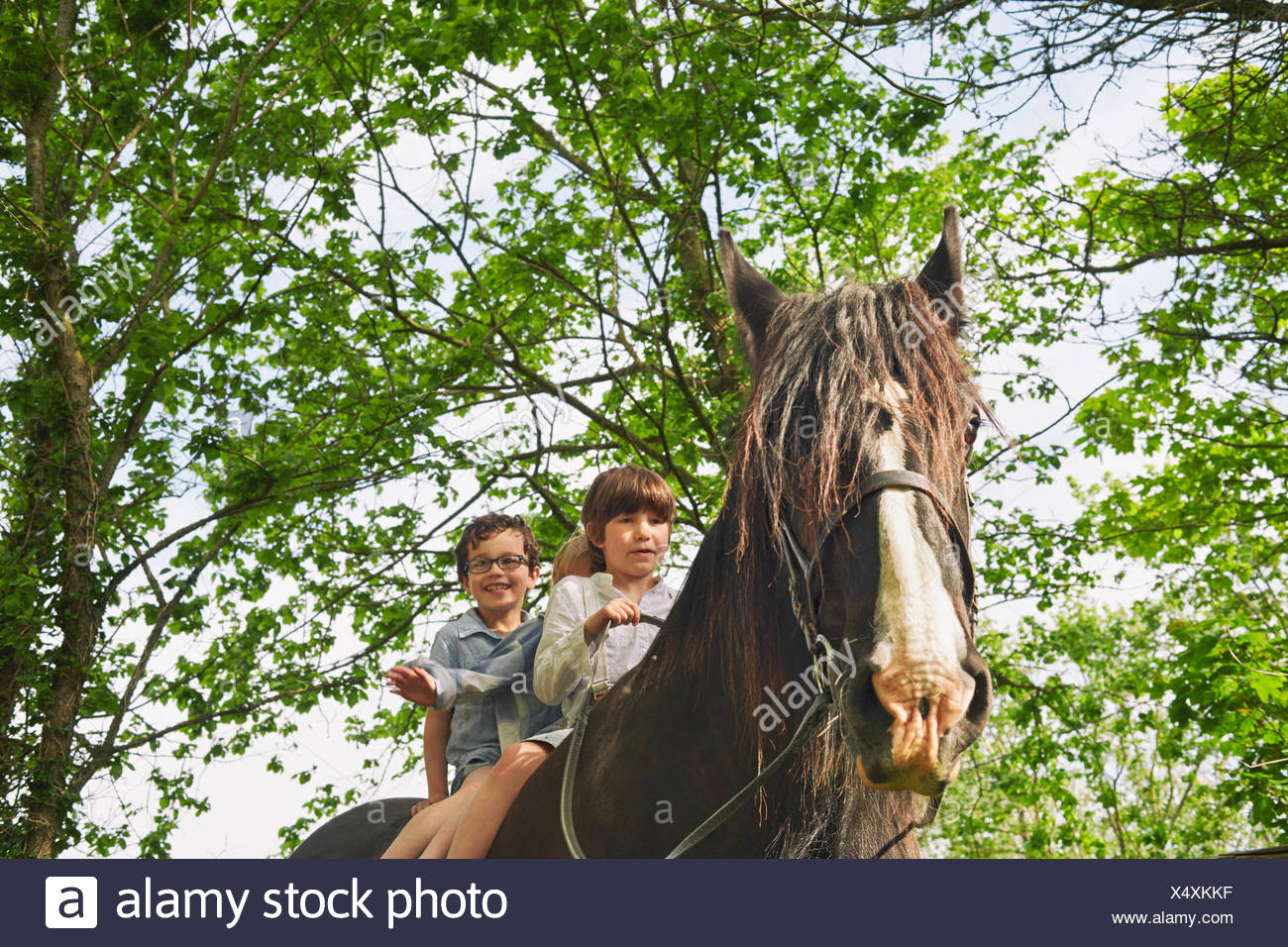 Boy With A Horse High Resolution Stock Photography and Images - Alamy