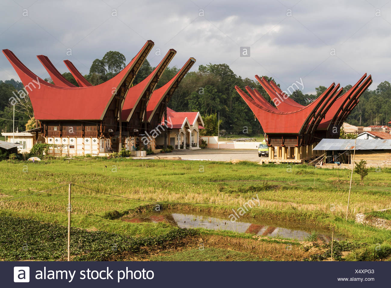 Bori High Resolution Stock Photography and Images - Alamy