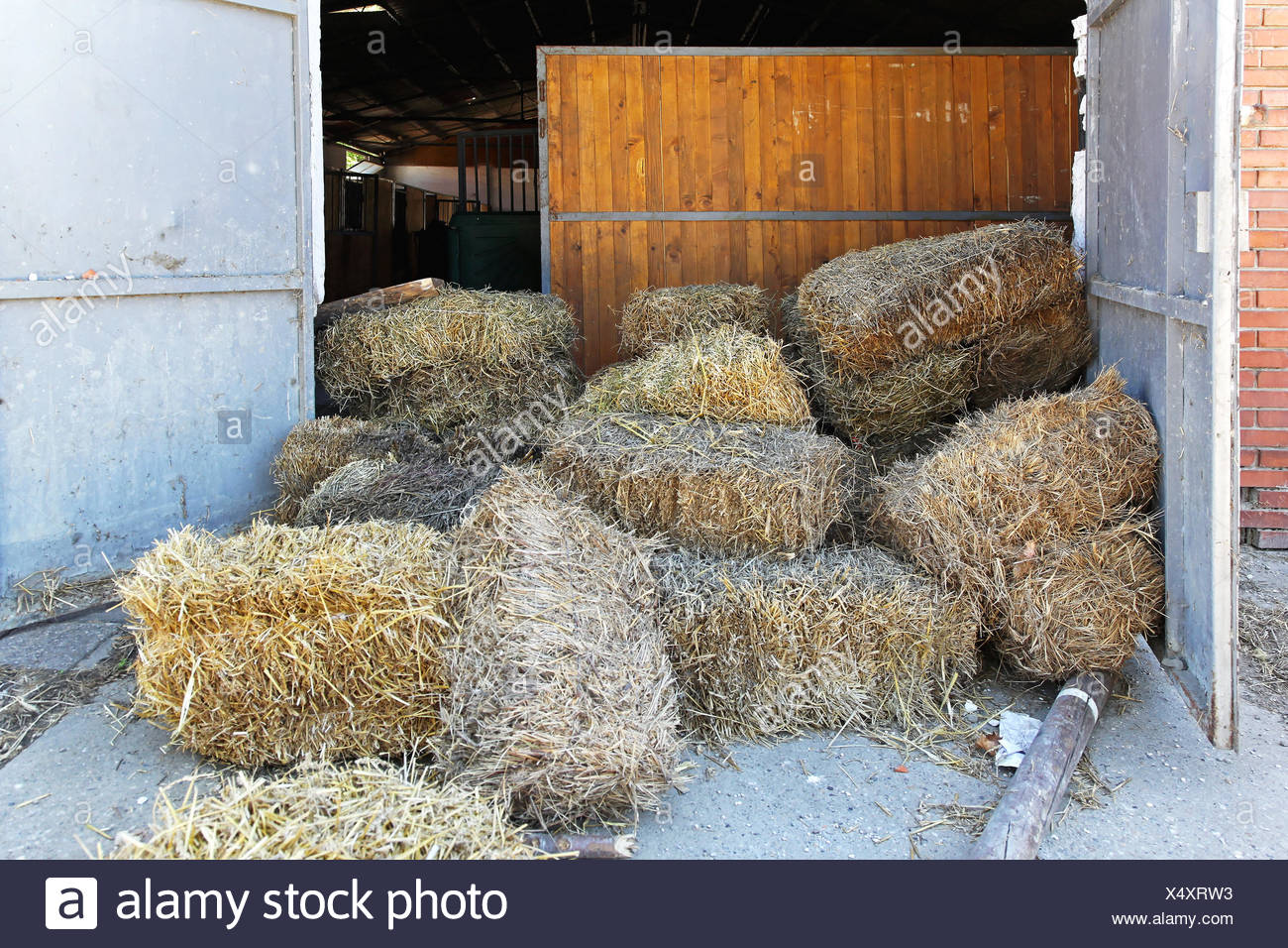Feed Lawn High Resolution Stock Photography and Images - Alamy