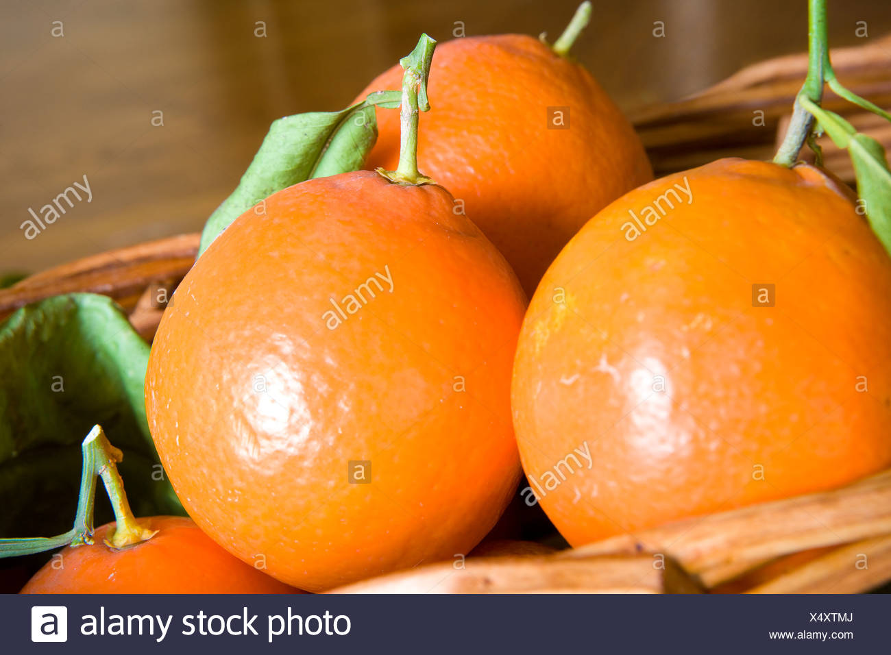 Minneolas High Resolution Stock Photography and Images - Alamy