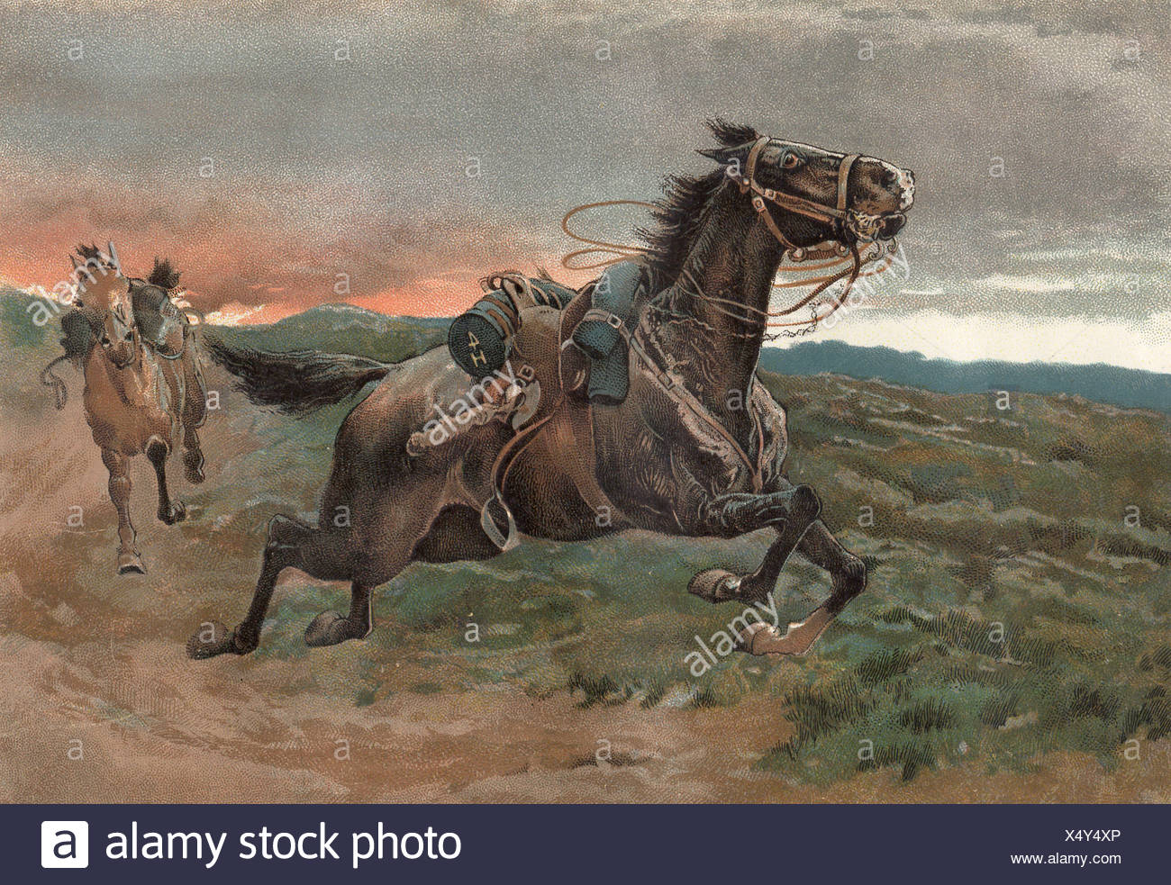 Panic Stricken High Resolution Stock Photography and Images - Alamy