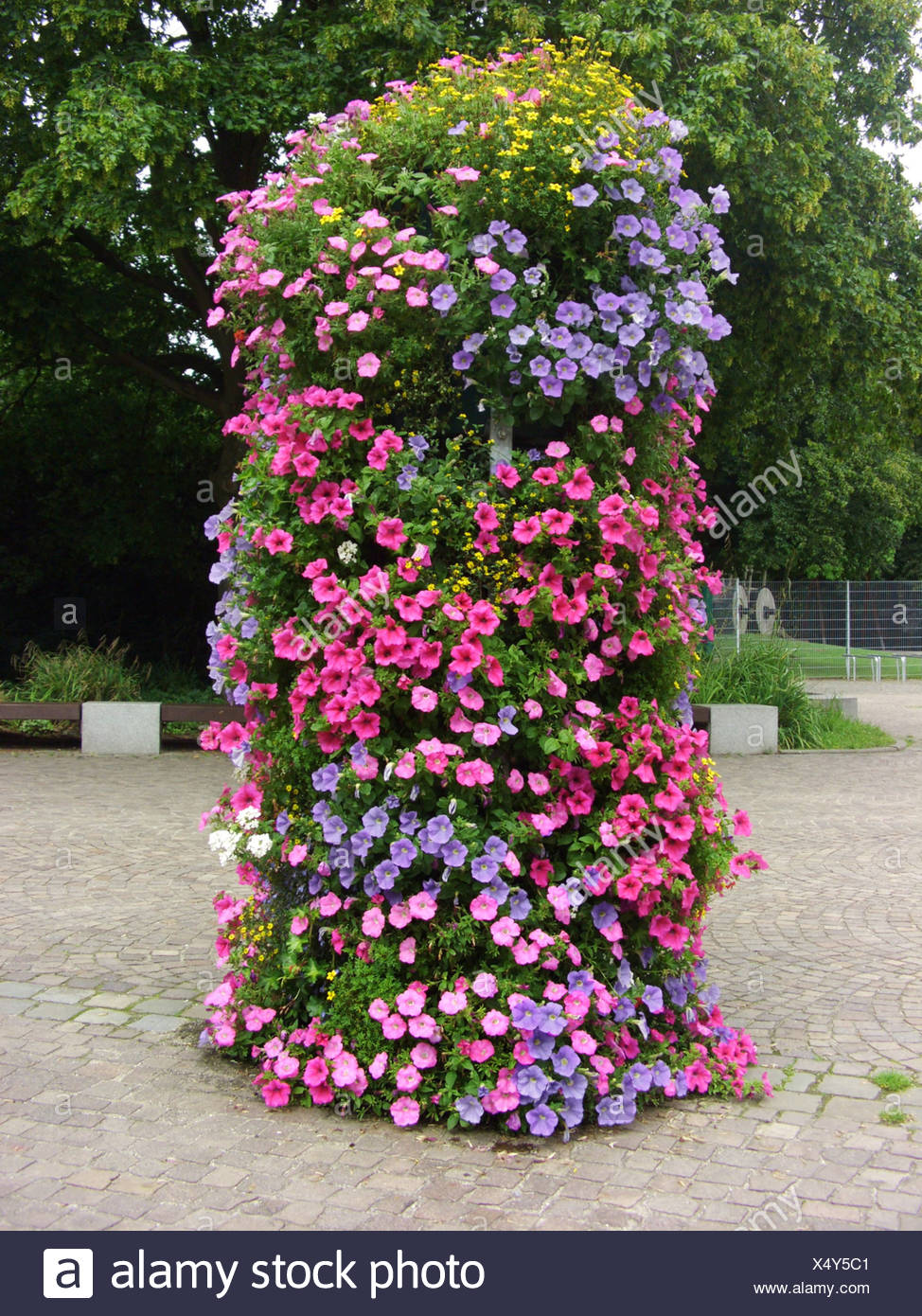 Flower Tower With Petunia High Resolution Stock Photography and Images ...