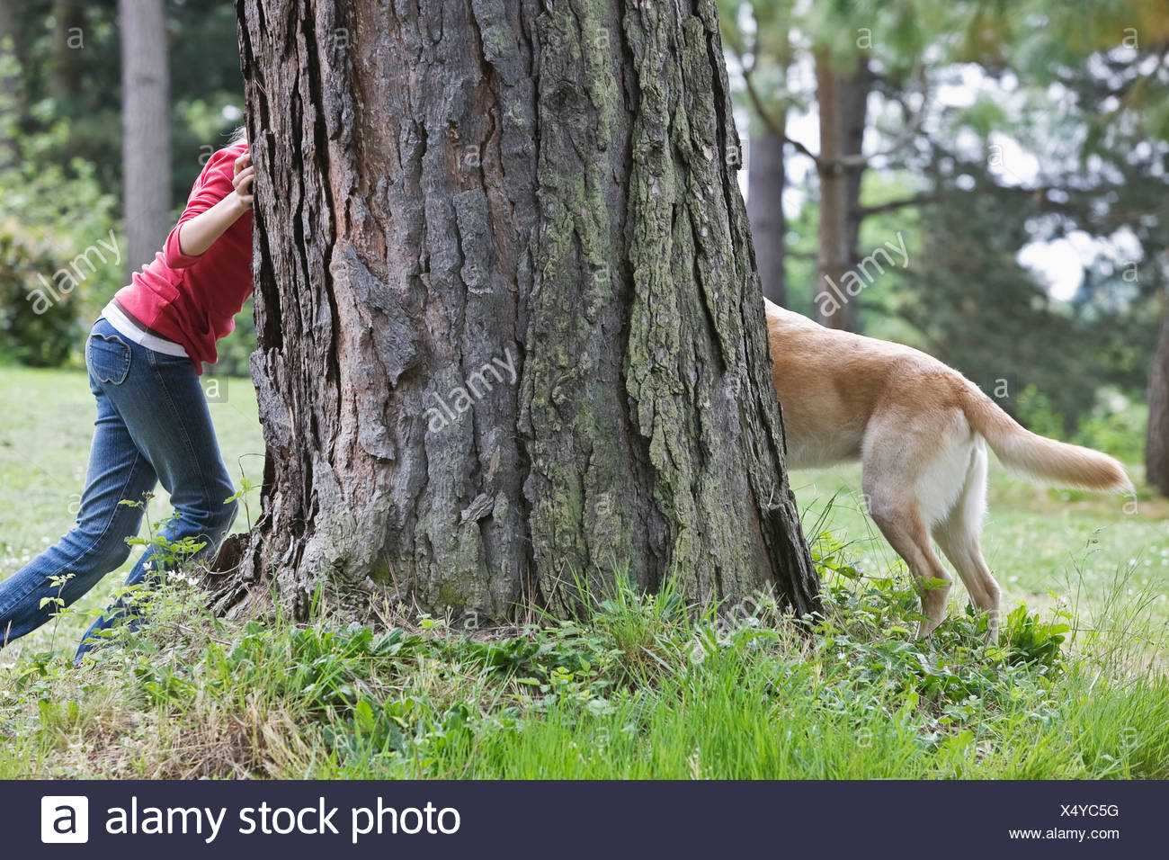 Hide And Seek Game High Resolution Stock Photography and Images - Alamy