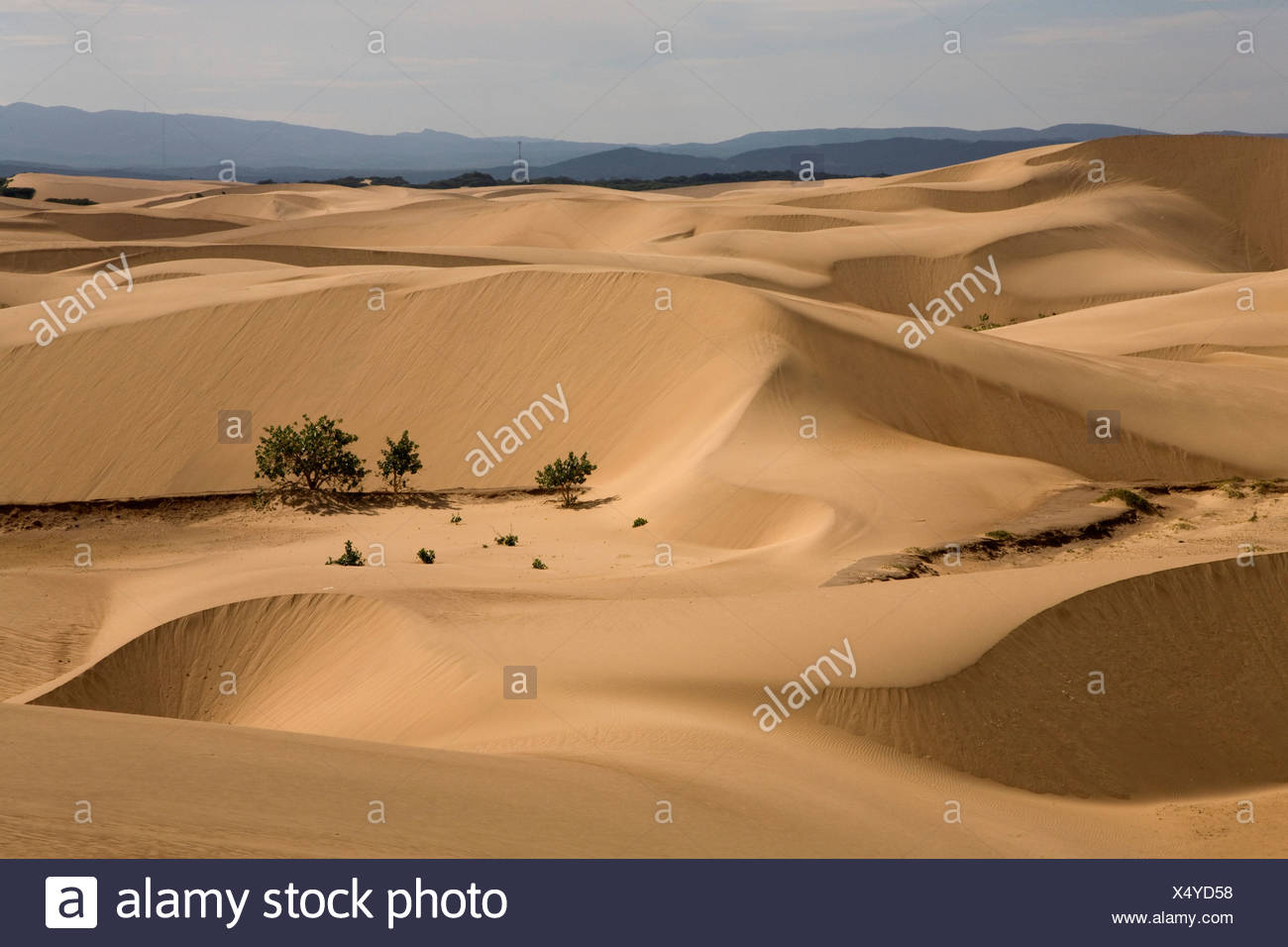 Paraguana High Resolution Stock Photography and Images - Alamy