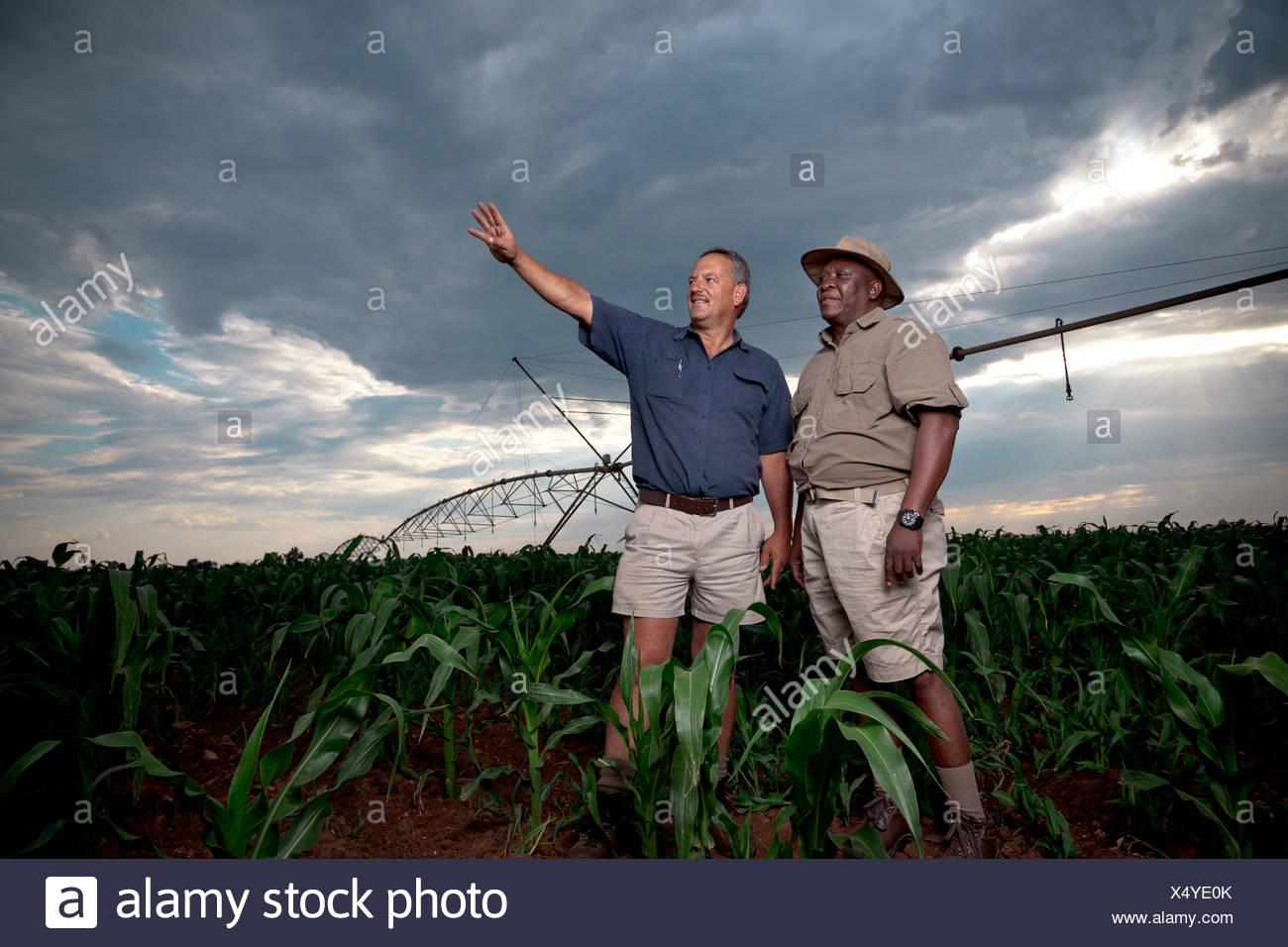 Crops High Resolution Stock Photography and Images - Alamy