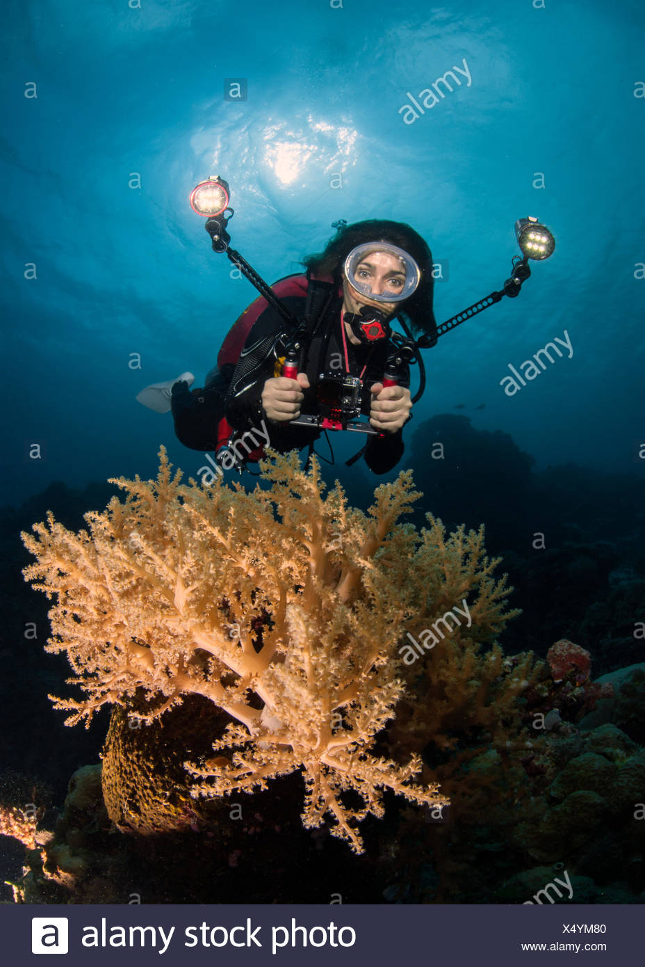Scuba Diving Discovery High Resolution Stock Photography and Images - Alamy