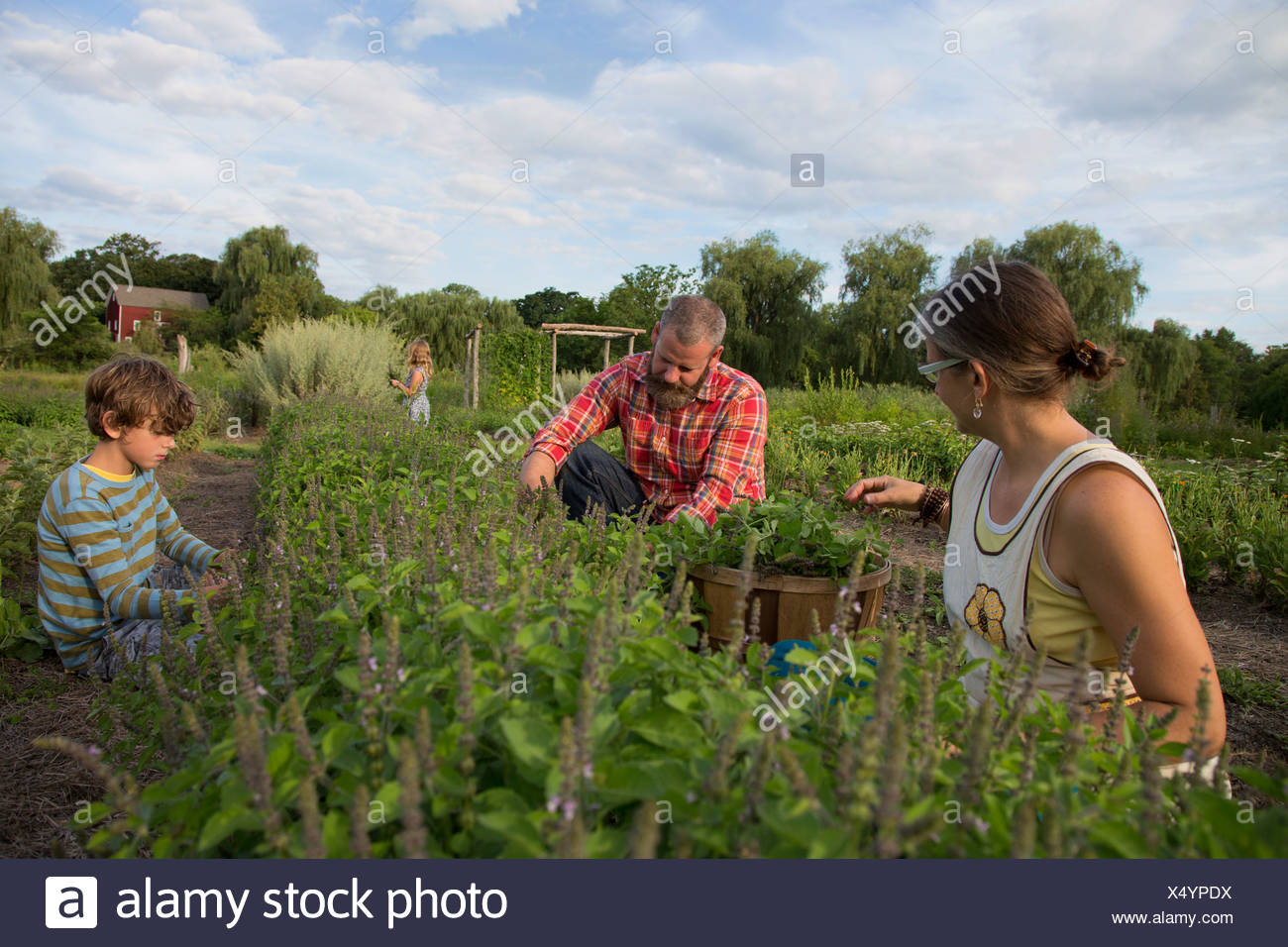 Family Agriculture Stock Photos & Family Agriculture Stock Images - Alamy