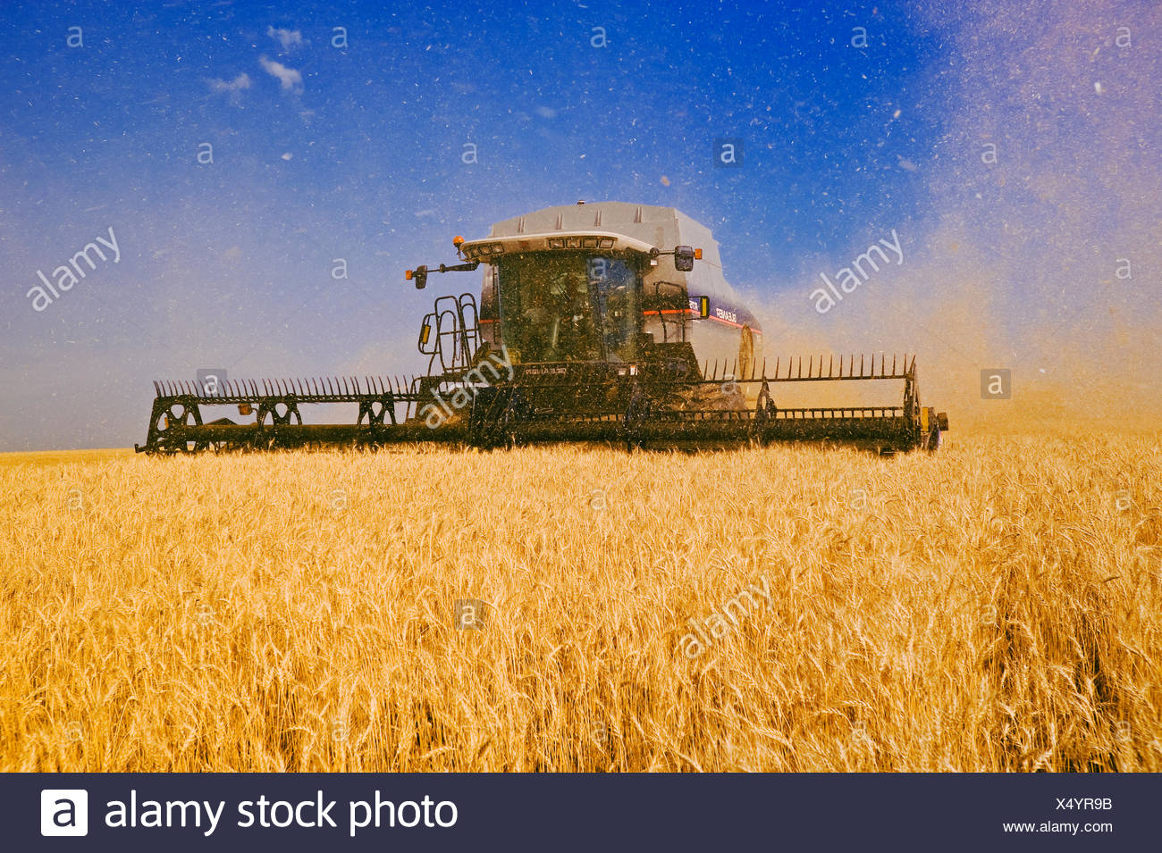 Gleaner Combine High Resolution Stock Photography and Images - Alamy
