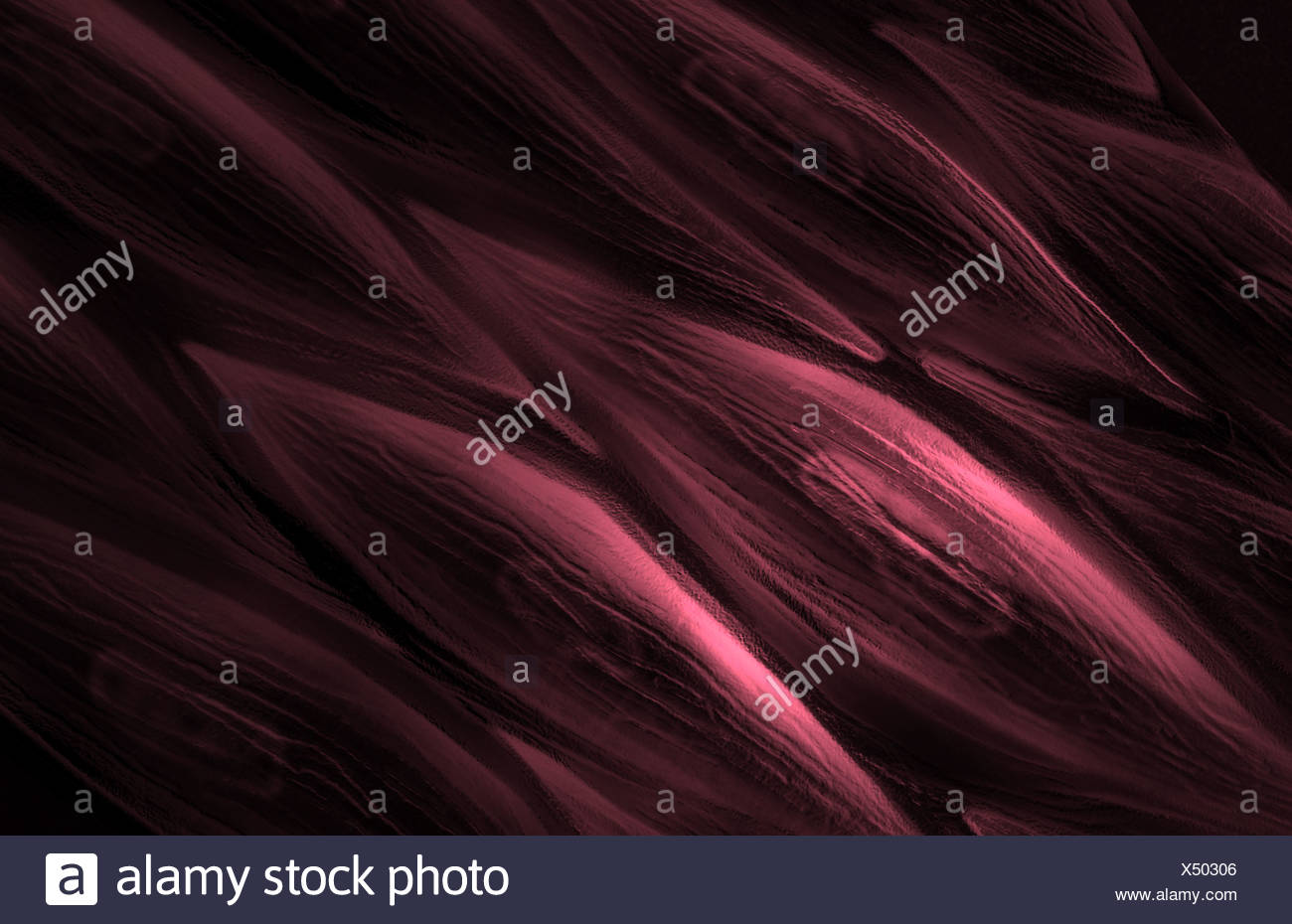 Smooth Muscle Cells High Resolution Stock Photography and Images - Alamy