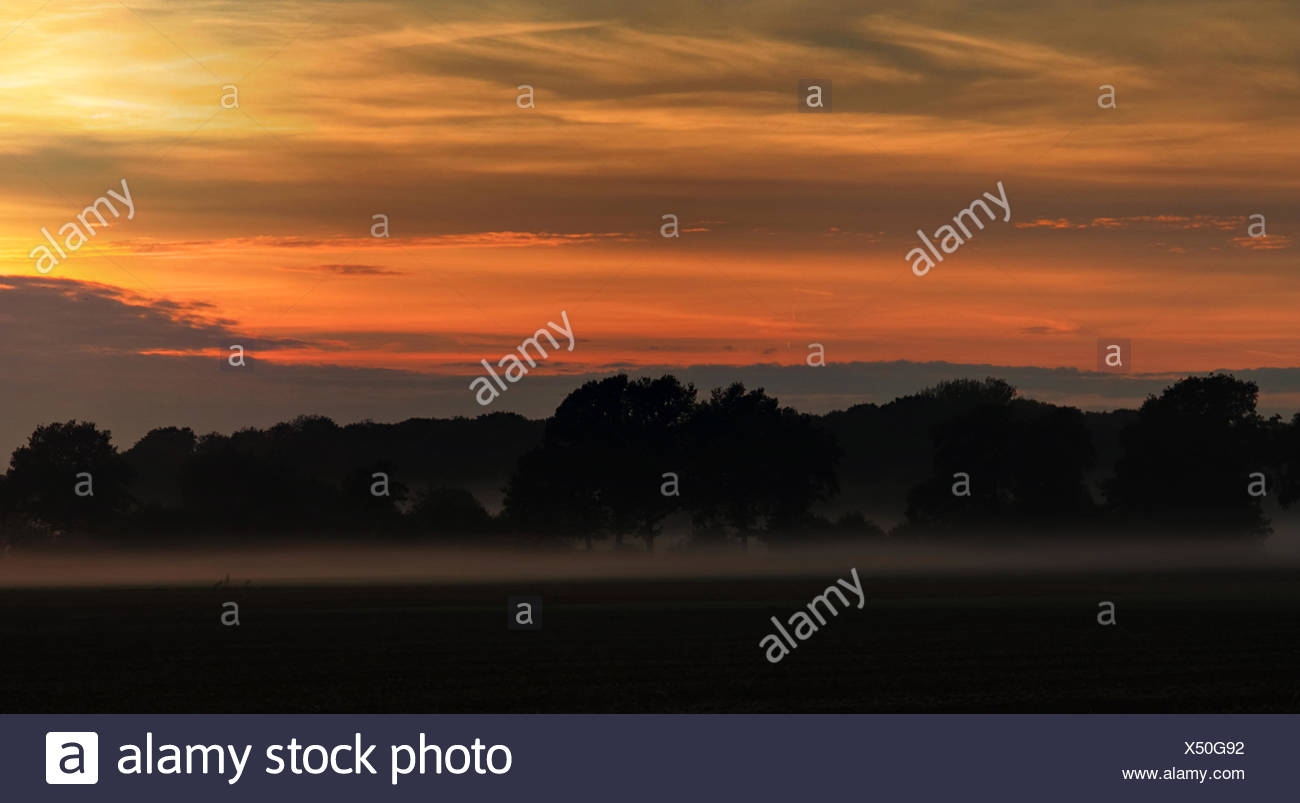 Break Of Dawn Stock Photos & Break Of Dawn Stock Images - Alamy