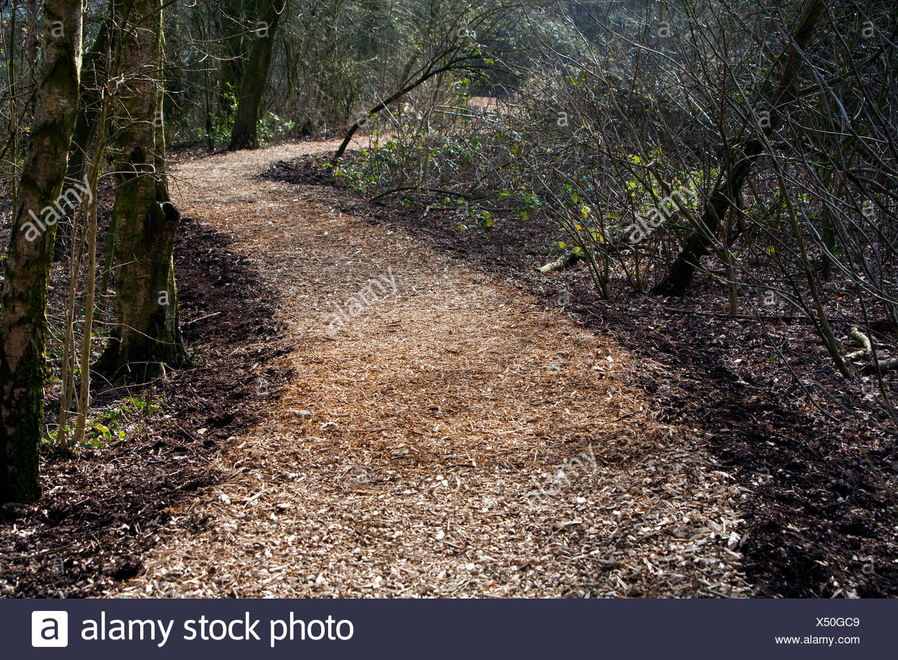 Wood Chip Path High Resolution Stock Photography and Images - Alamy