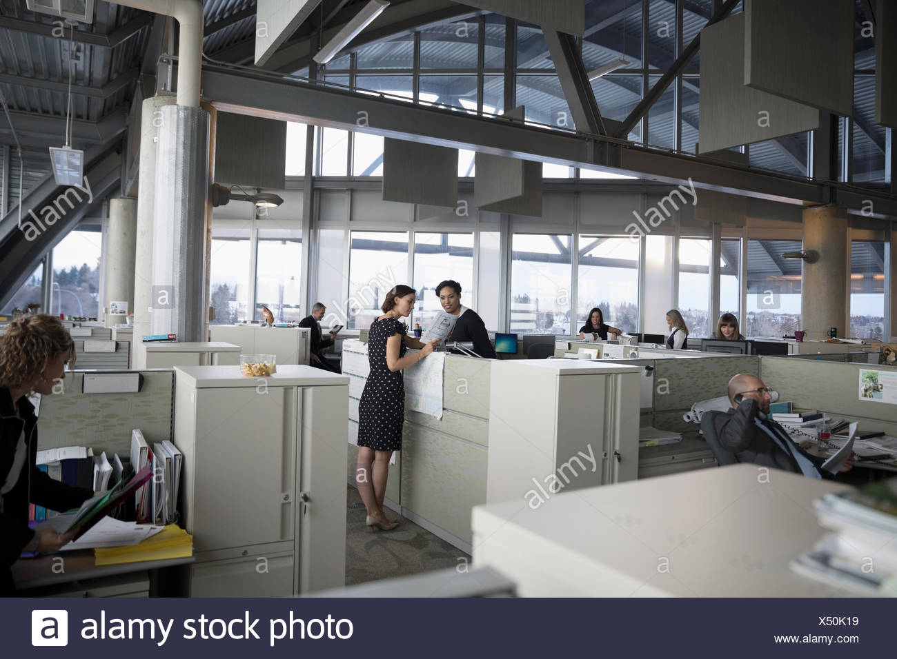 Office Cubicles Group Stock Photos & Office Cubicles Group Stock Images ...
