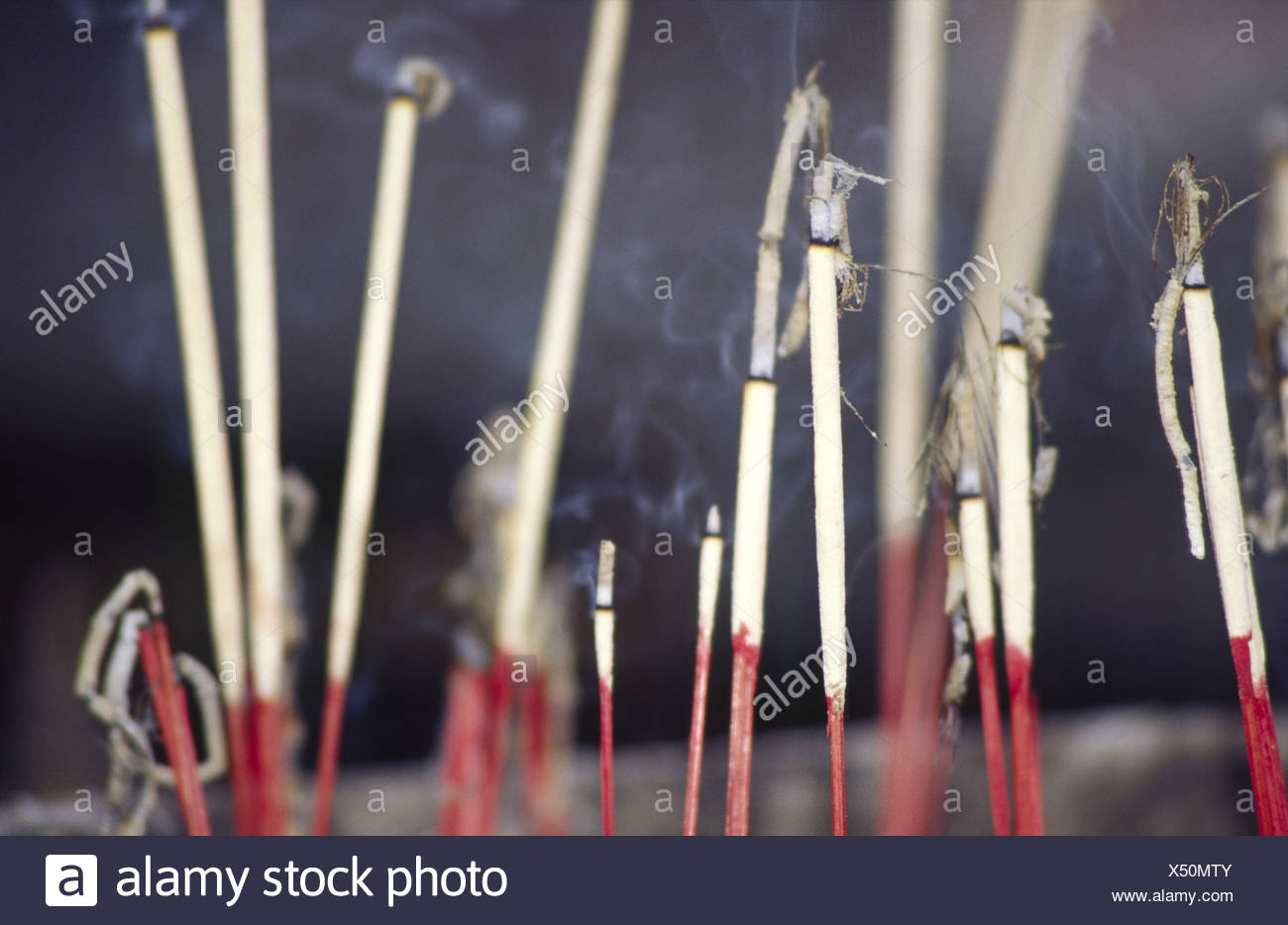 Fumigating High Resolution Stock Photography and Images - Alamy