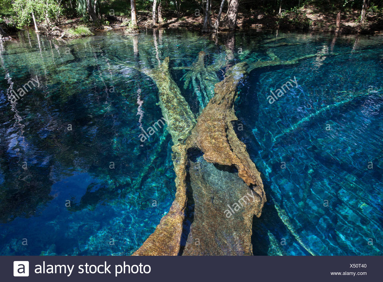 Freshwater Lagoon High Resolution Stock Photography and Images - Alamy