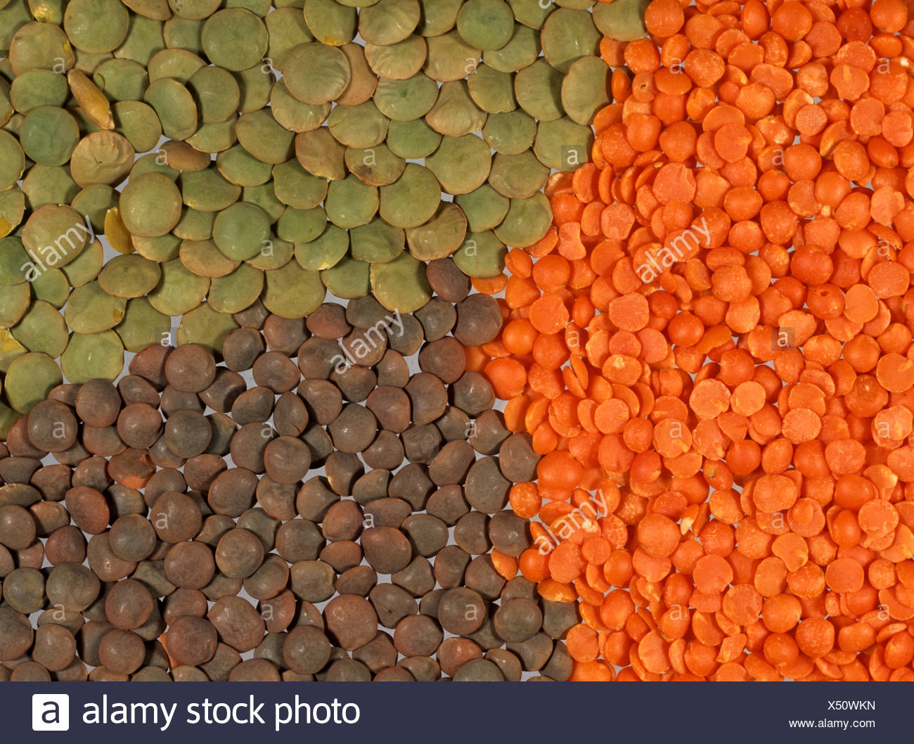 Lentil Crop High Resolution Stock Photography and Images - Alamy