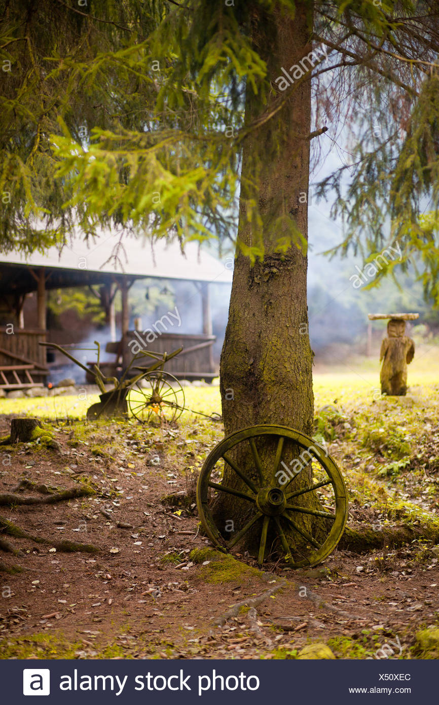 Wheel Woods Stock Photos & Wheel Woods Stock Images - Alamy