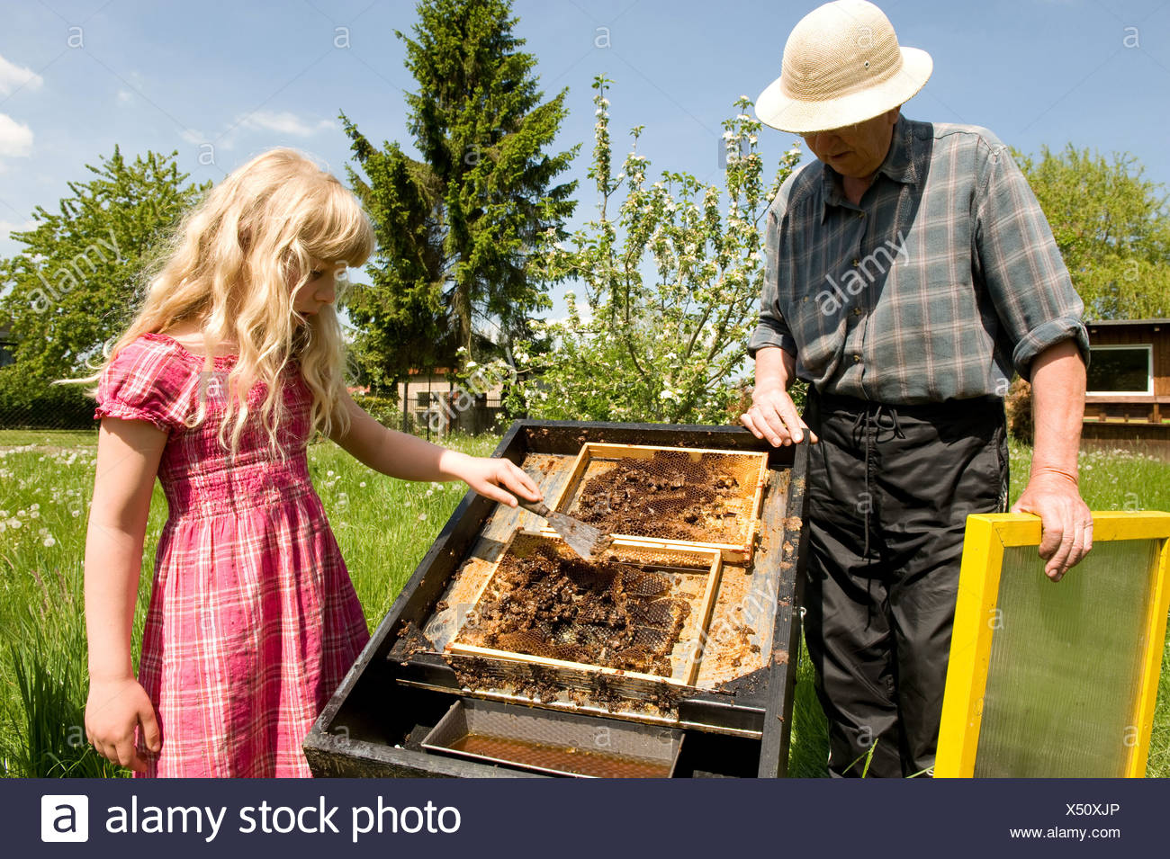 Beekeeping Child High Resolution Stock Photography and Images - Alamy