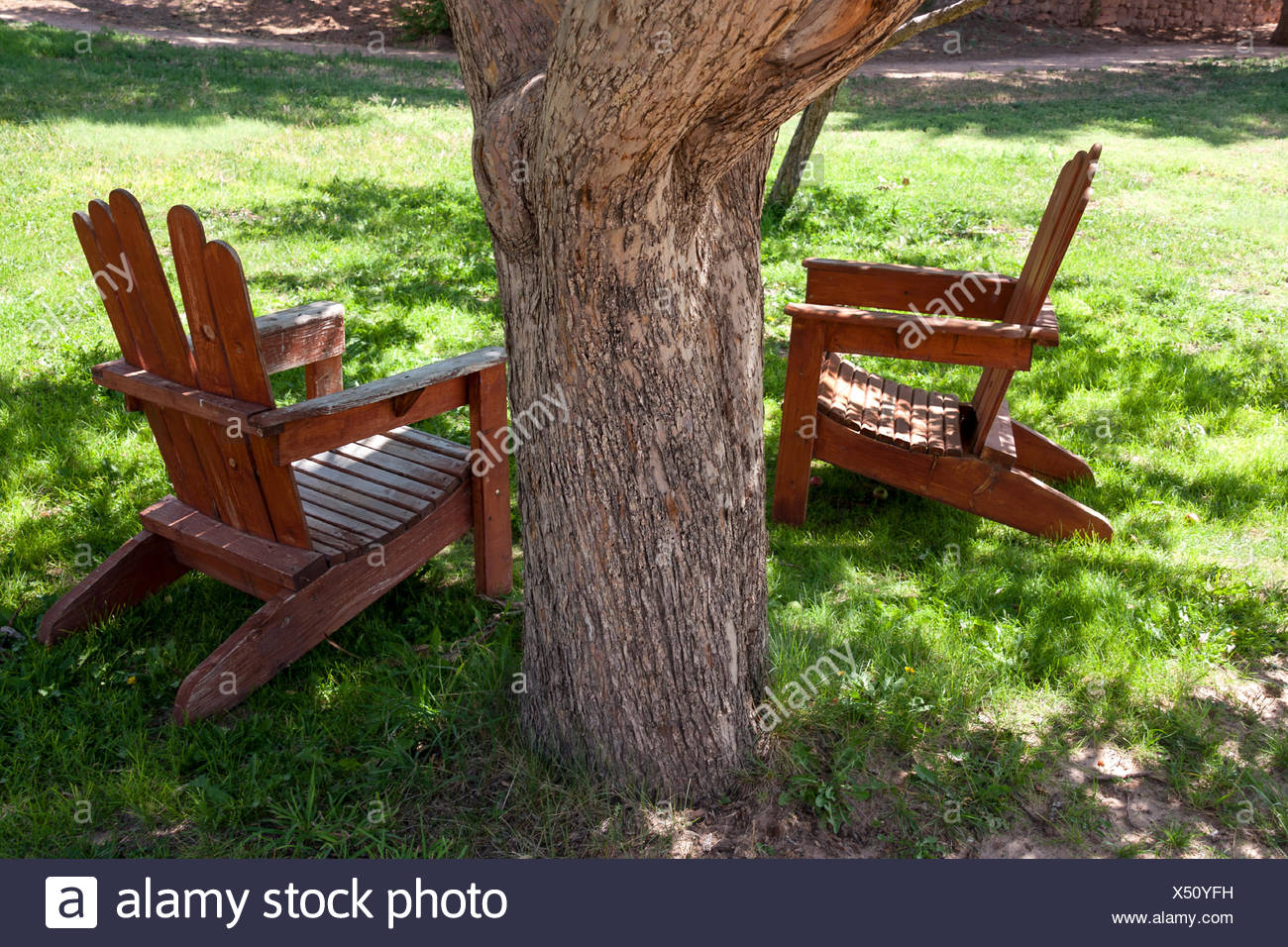 Seating Under A Tree High Resolution Stock Photography and Images - Alamy
