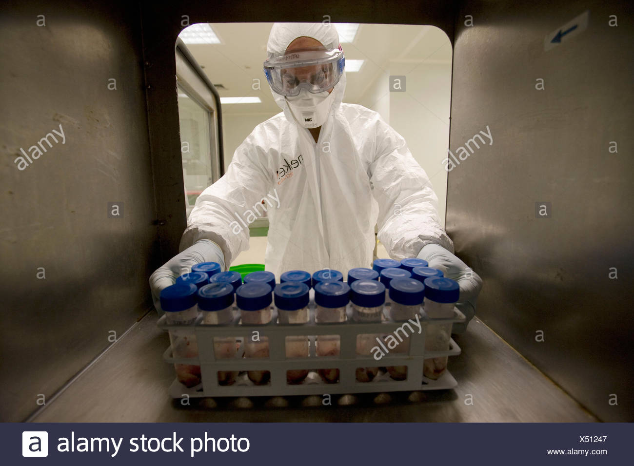 Avian Influenza Research High Resolution Stock Photography and Images ...