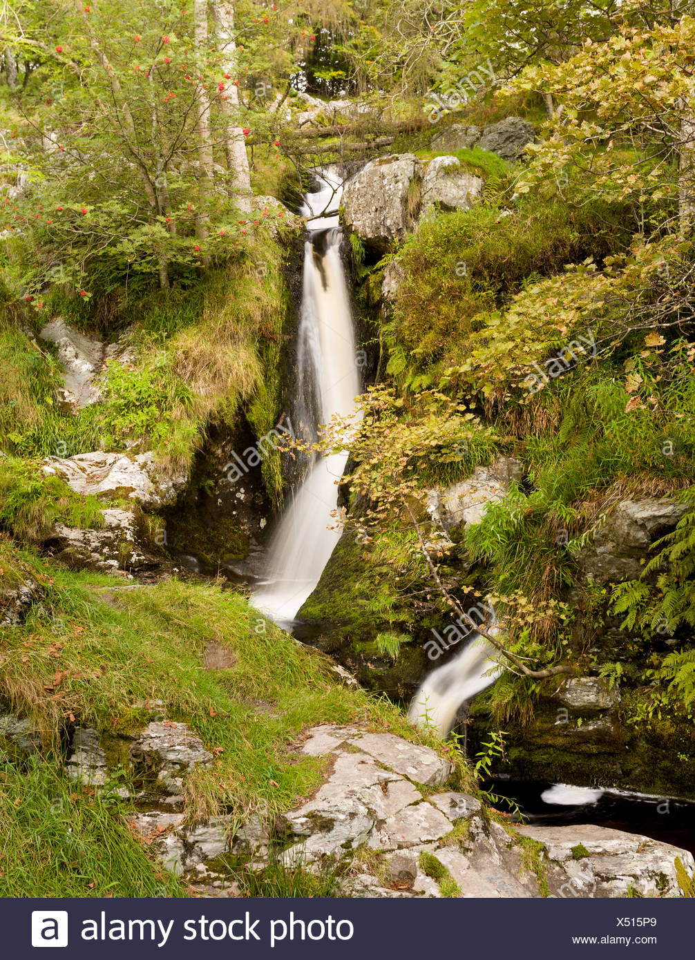 Pistyll Rhaeadr Waterfalls, Wales High Resolution Stock Photography and ...