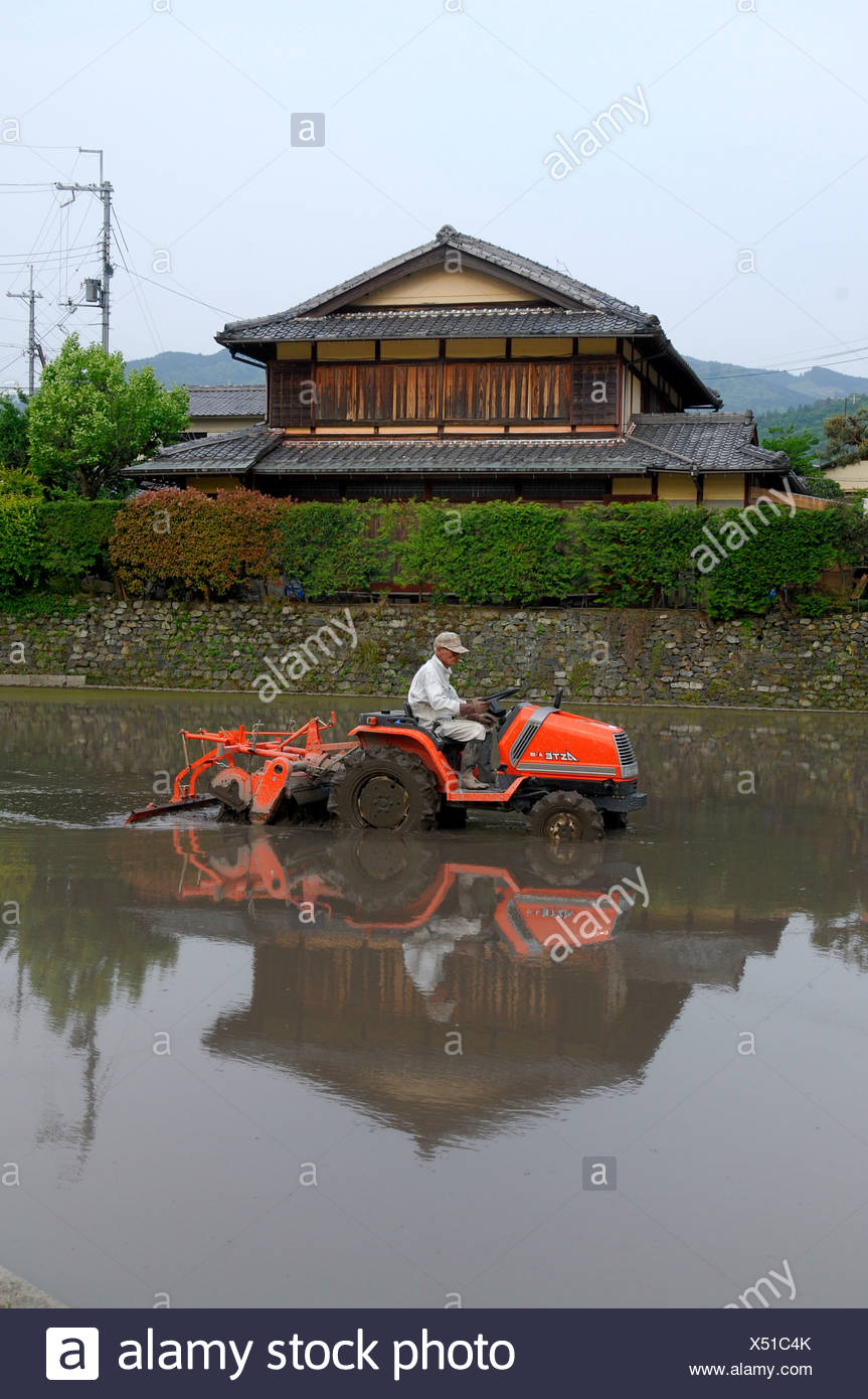 Traditional Rice Paddy High Resolution Stock Photography and Images - Alamy