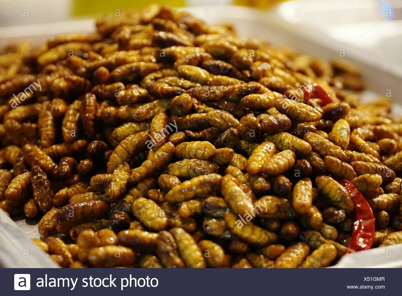 Fried Worms High Resolution Stock Photography and Images - Alamy