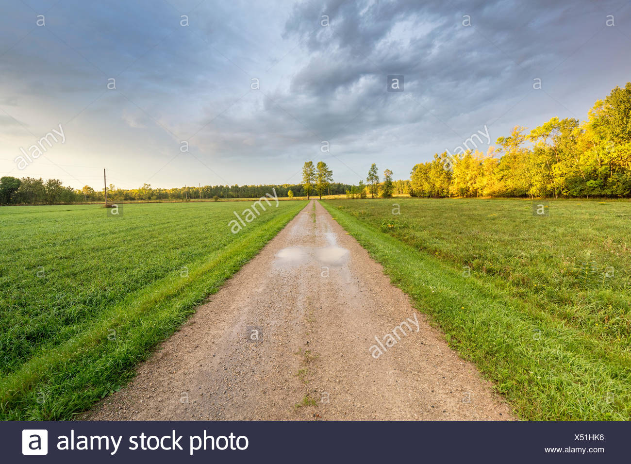 Between Two Roads High Resolution Stock Photography and Images - Alamy