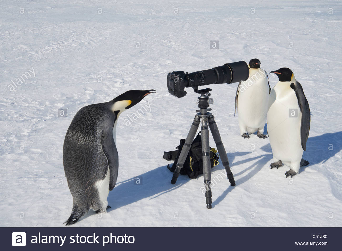 Through The Viewfinder High Resolution Stock Photography and Images - Alamy