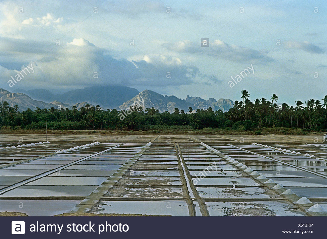 Salt Pans India High Resolution Stock Photography and Images - Alamy