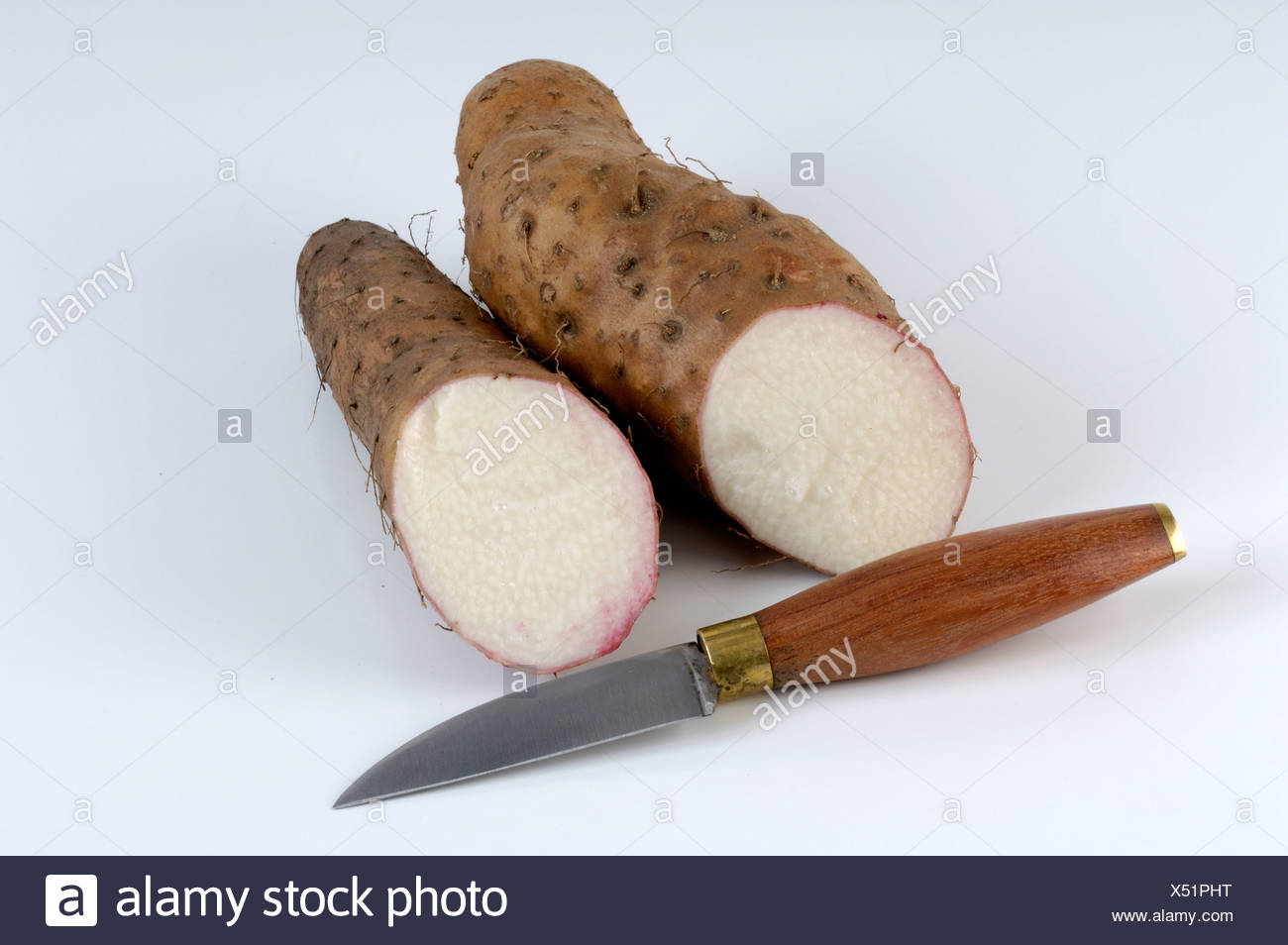 Yam Root Dioscorea Alata High Resolution Stock Photography and Images ...