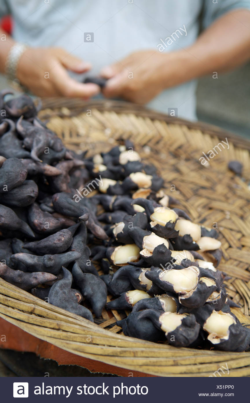 Water Caltrop High Resolution Stock Photography and Images - Alamy