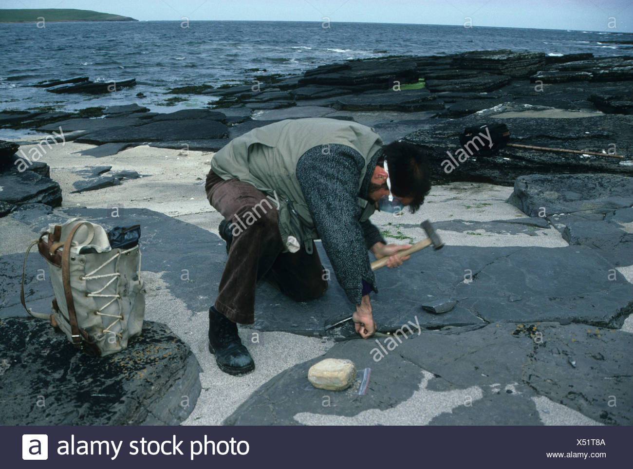 Fossil Collecting High Resolution Stock Photography and Images - Alamy
