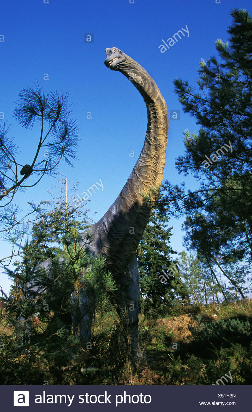 Herbivorous Sauropod Dinosaur Stock Photos & Herbivorous Sauropod ...