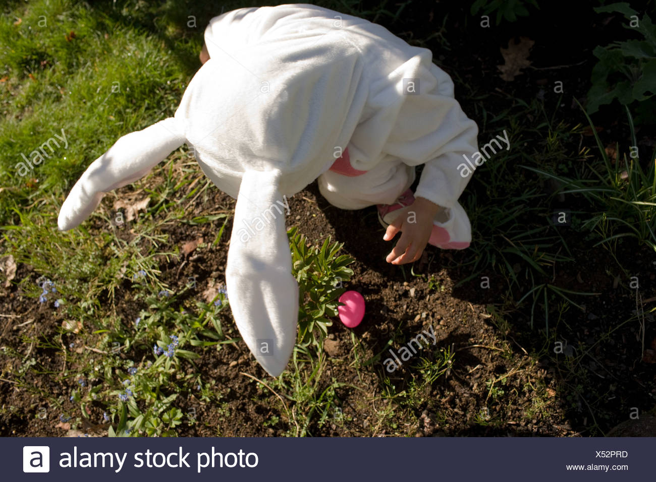 Easter Rabbit Boy High Resolution Stock Photography and Images - Alamy