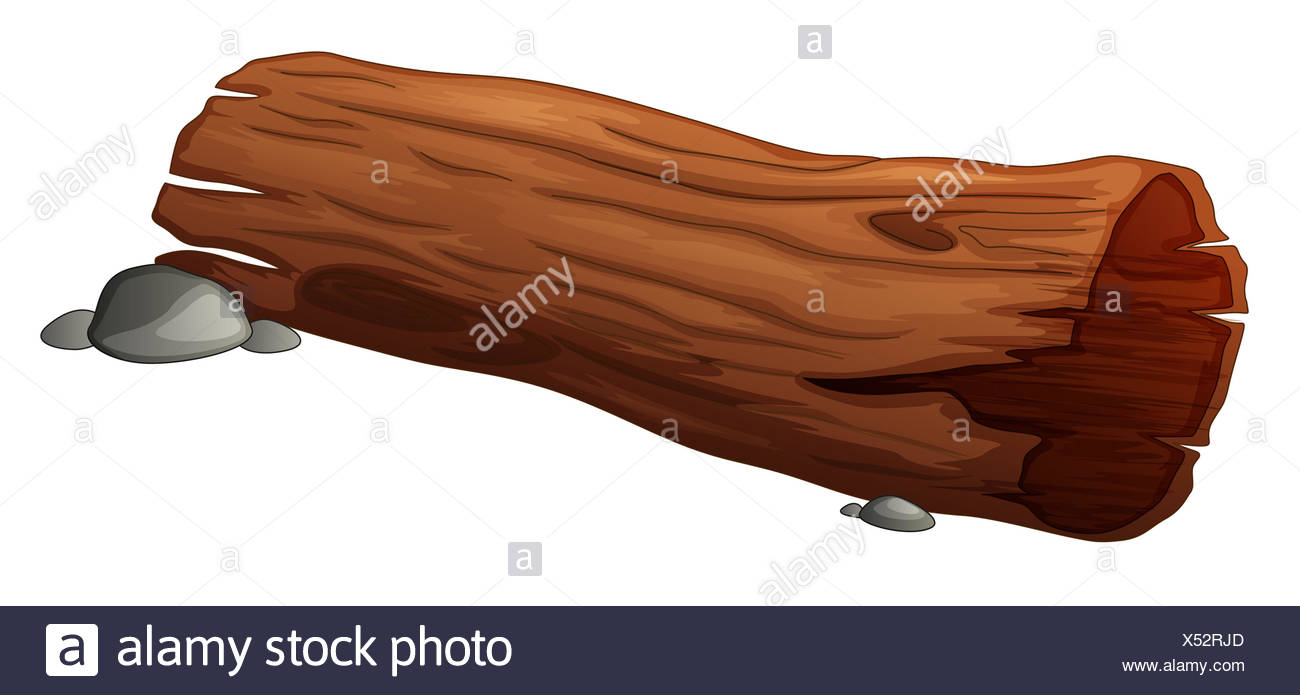 Hollow Log Cut Out Stock Images & Pictures - Alamy