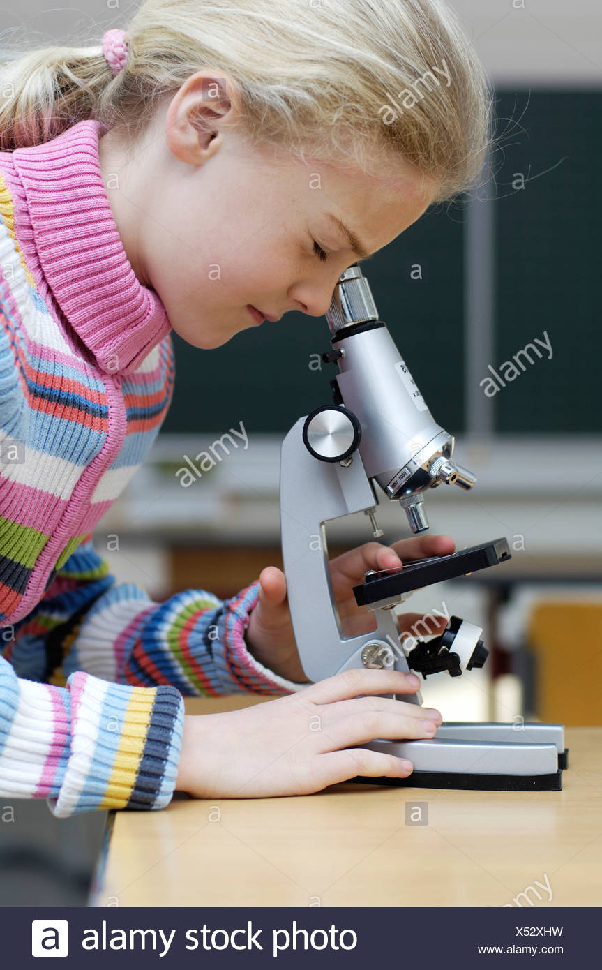 Microscope Section High Resolution Stock Photography and Images - Alamy