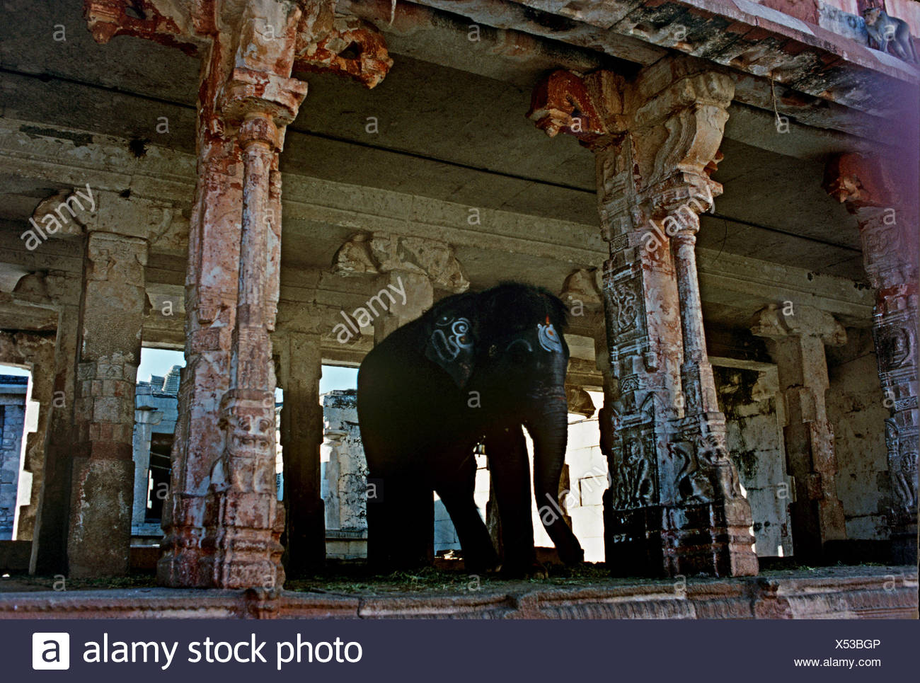 Elephant Pillars High Resolution Stock Photography and Images - Alamy
