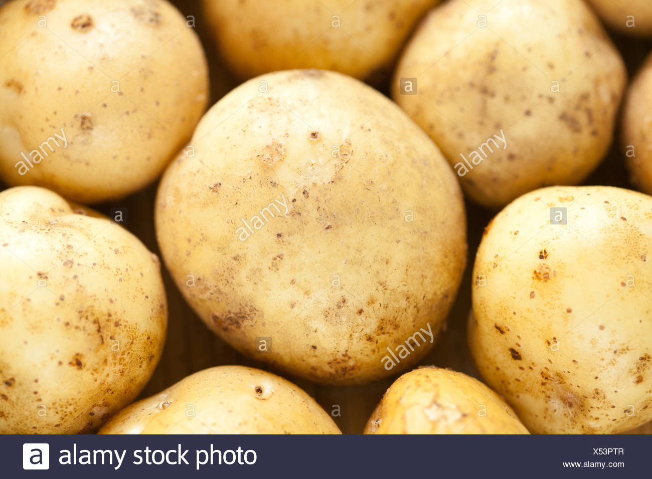 Native Potato High Resolution Stock Photography and Images - Alamy