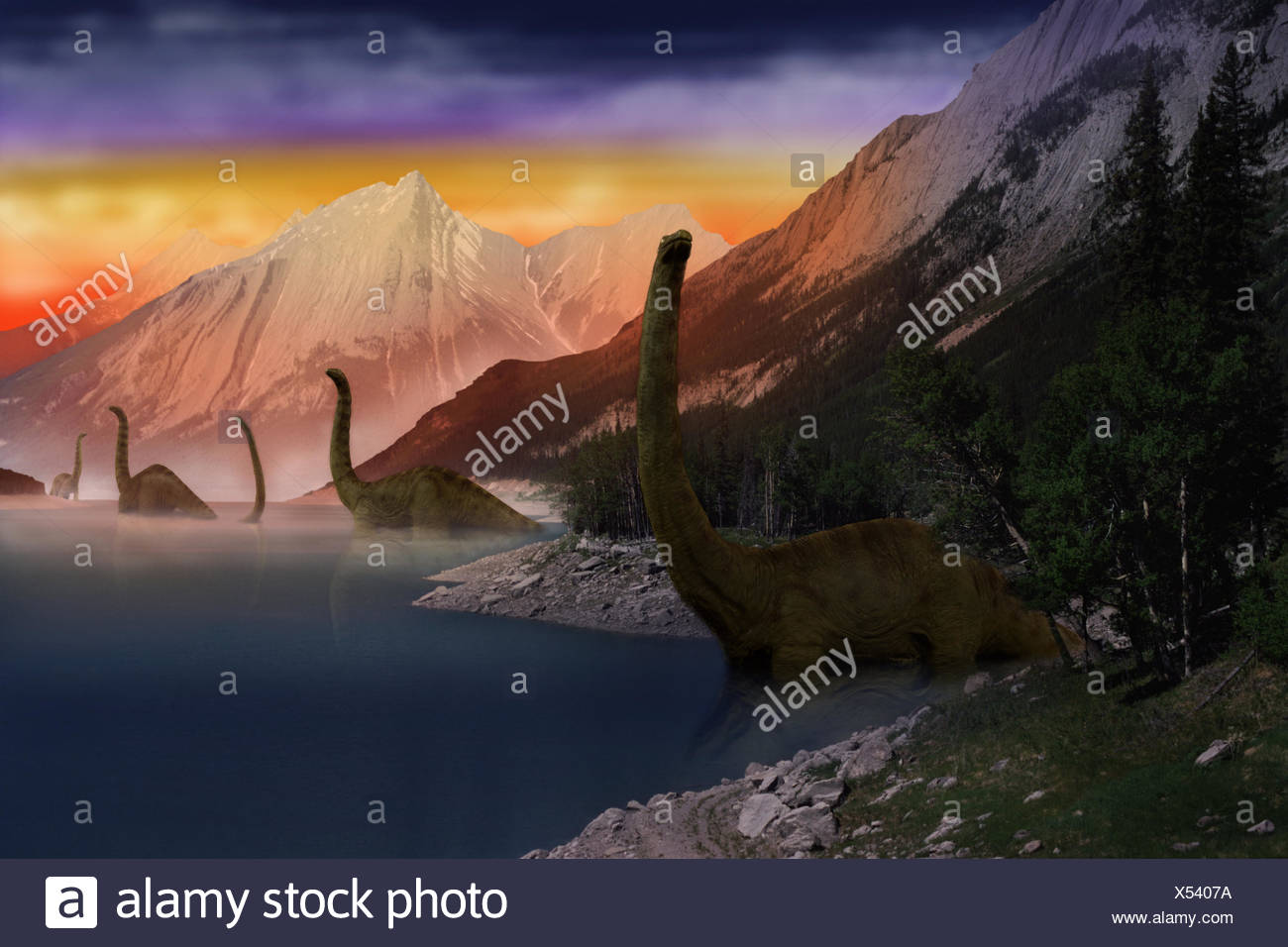 Diplodocus Diplodocus High Resolution Stock Photography and Images - Alamy