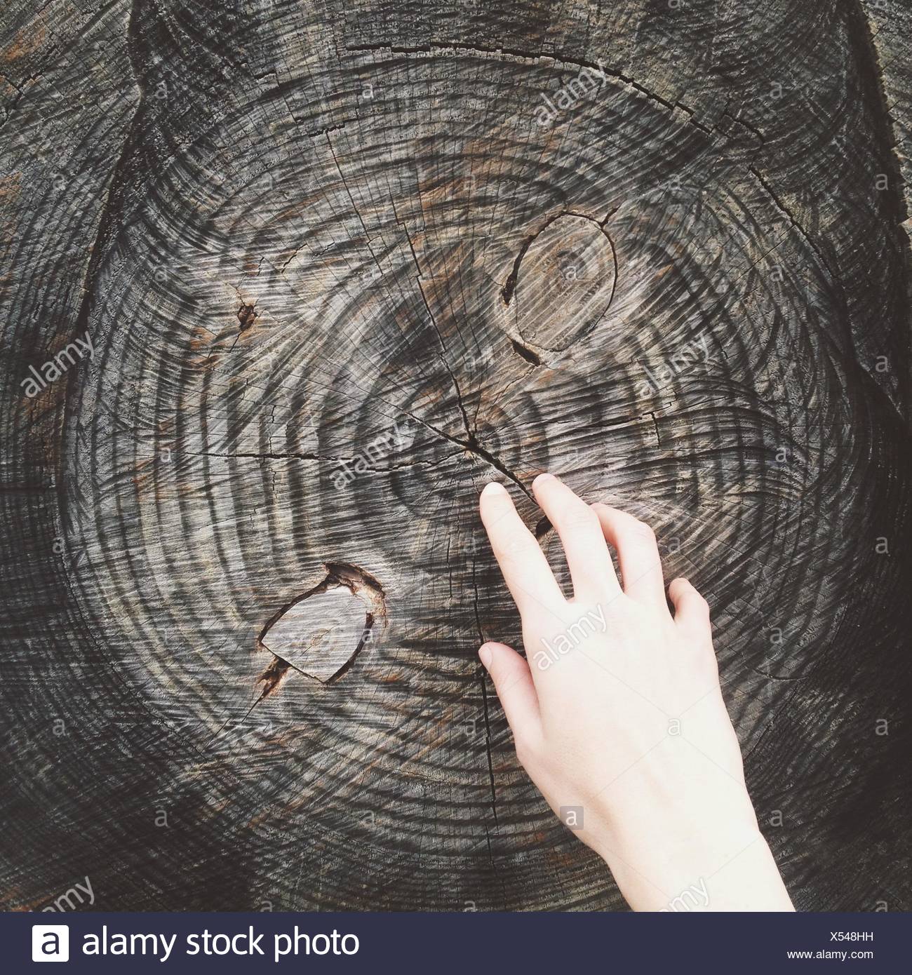 Hand Stock Photos & Hand Stock Images - Alamy