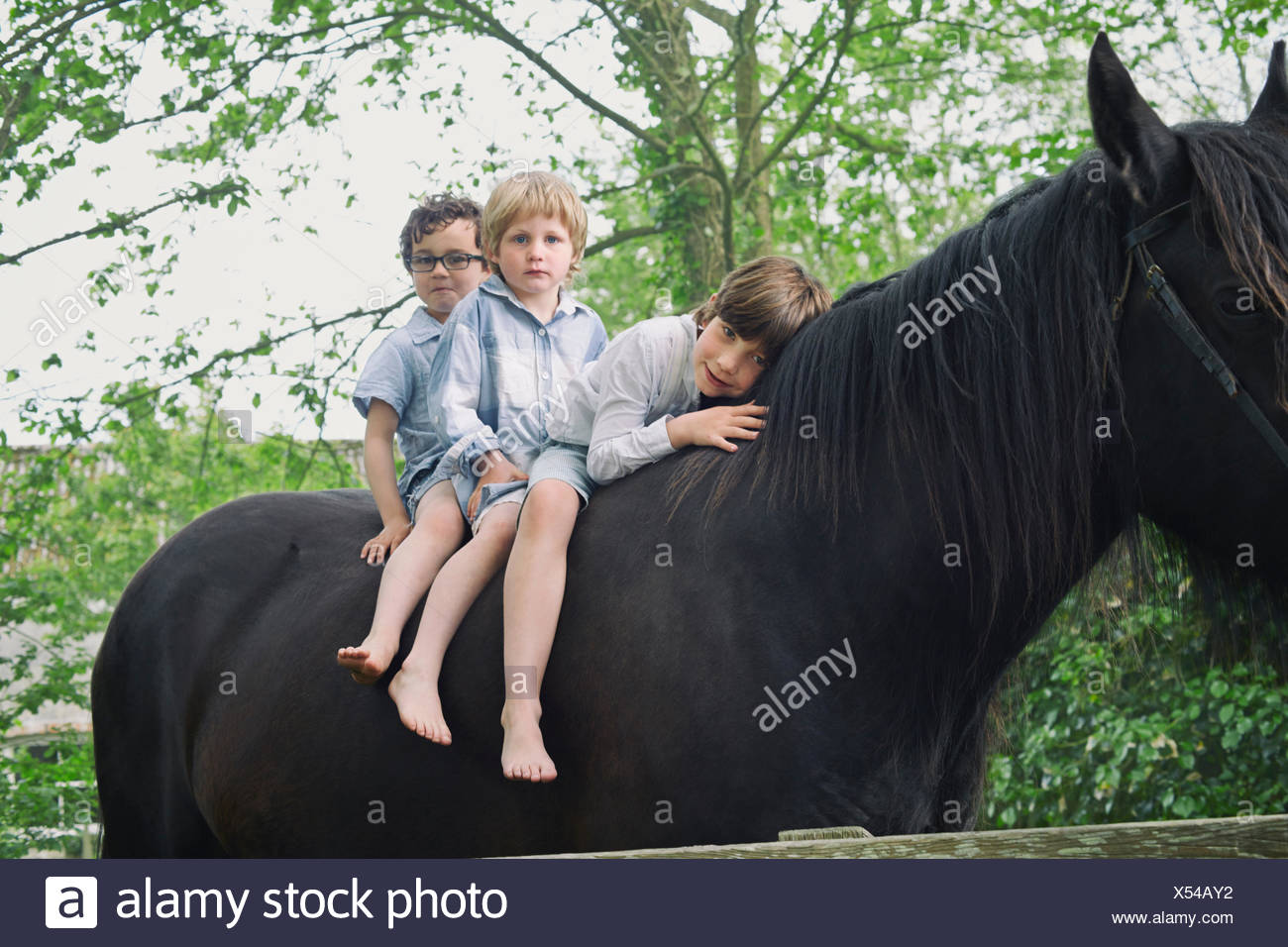 Boy With A Horse High Resolution Stock Photography and Images - Alamy