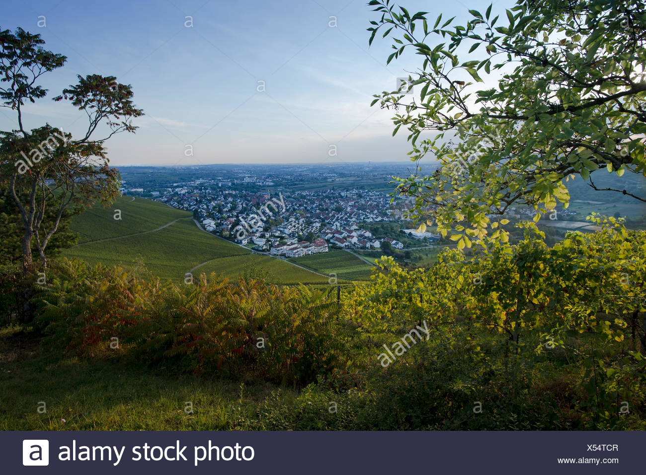 Beutelsbach High Resolution Stock Photography and Images - Alamy