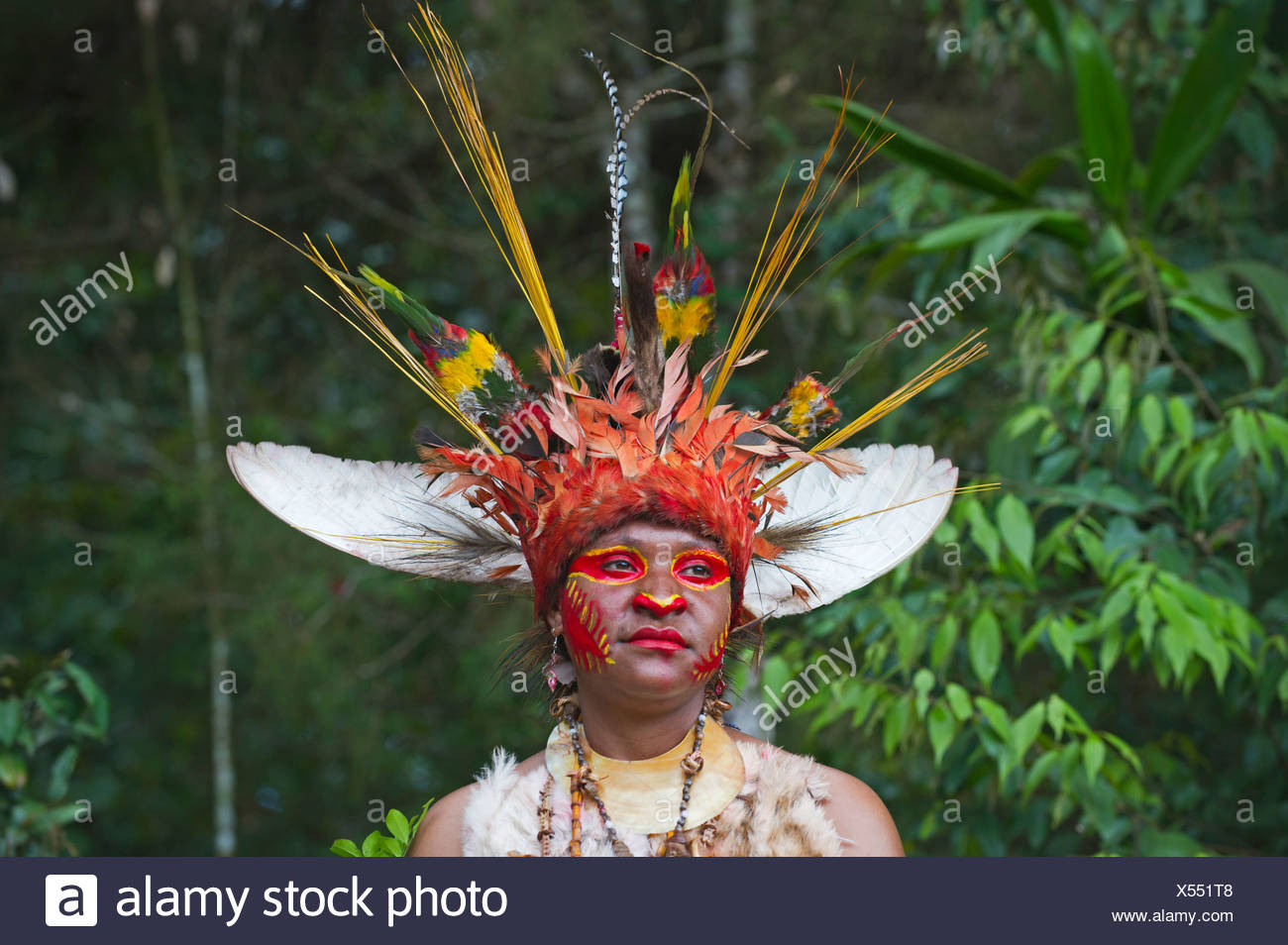 Jiwika High Resolution Stock Photography and Images - Alamy