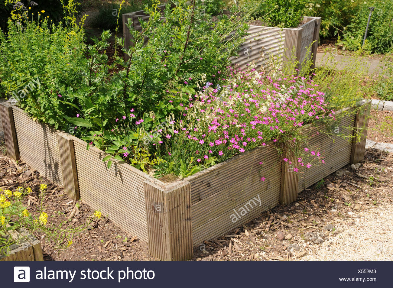 Raised Beds Garden Stock Photos & Raised Beds Garden Stock Images - Alamy