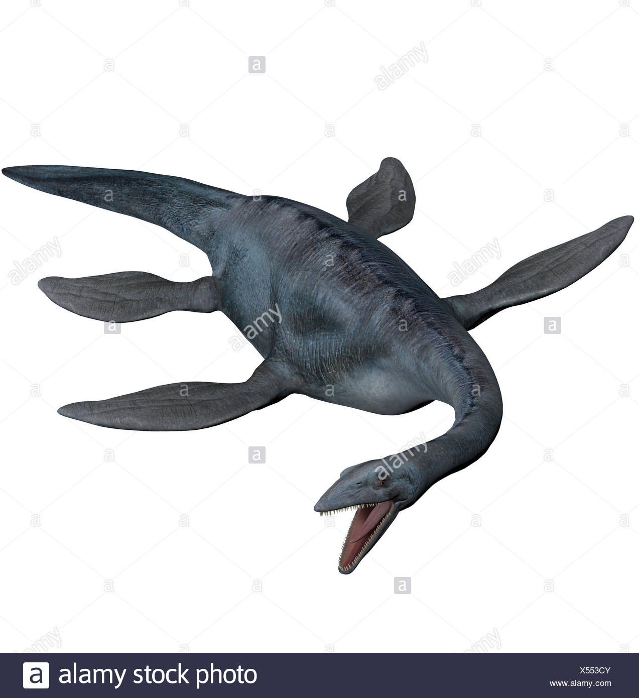 Elasmosaurus High Resolution Stock Photography and Images - Alamy